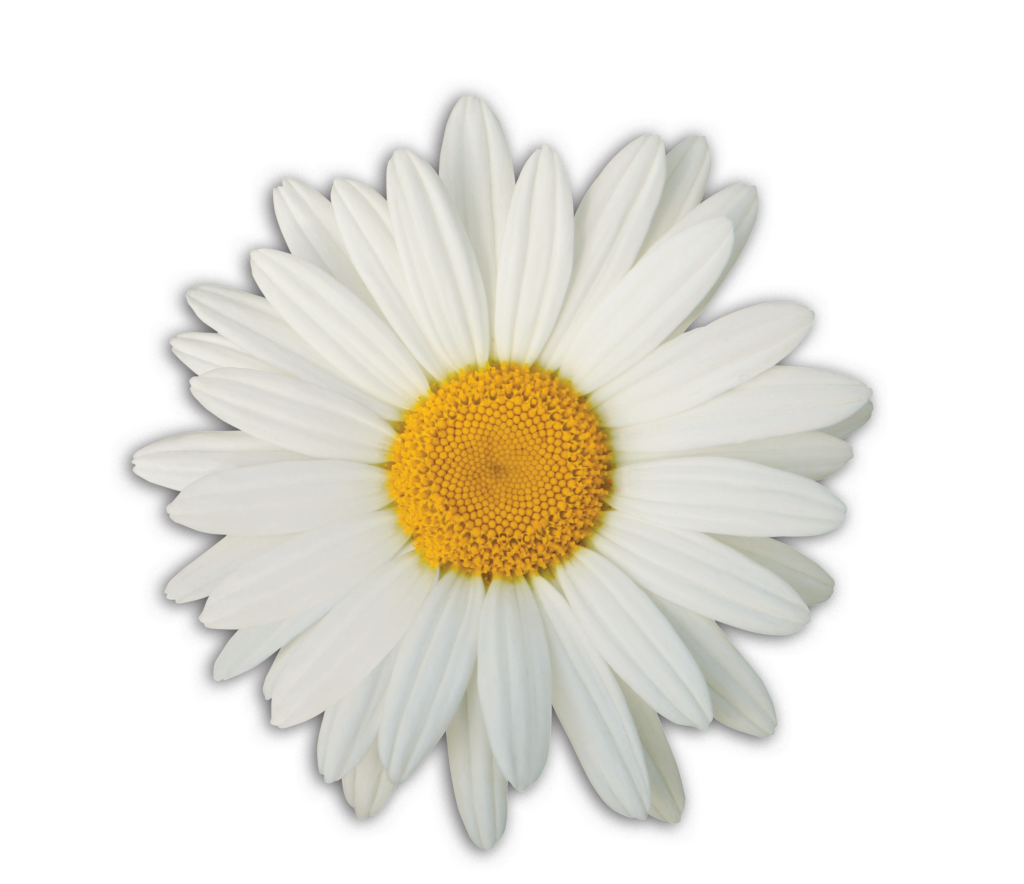 DAISY Awards Ceremony - Johnson Regional Medical Center